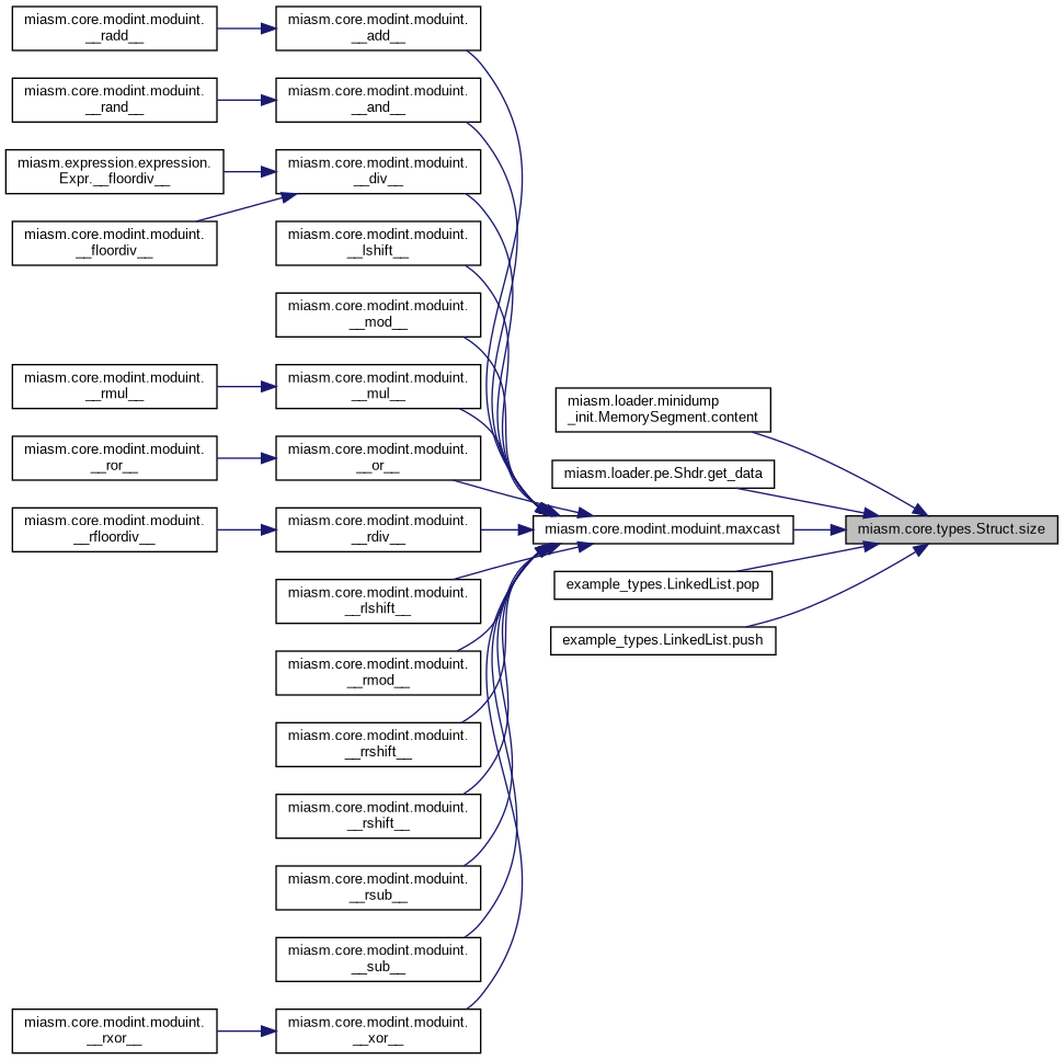 miasm: miasm.core.types.Struct Class Reference