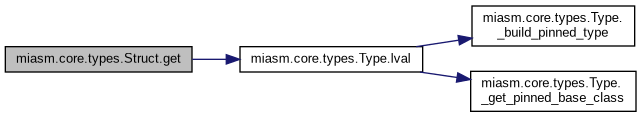 miasm: miasm.core.types.Struct Class Reference